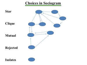 4 Easy Ways to Create a Sociogram